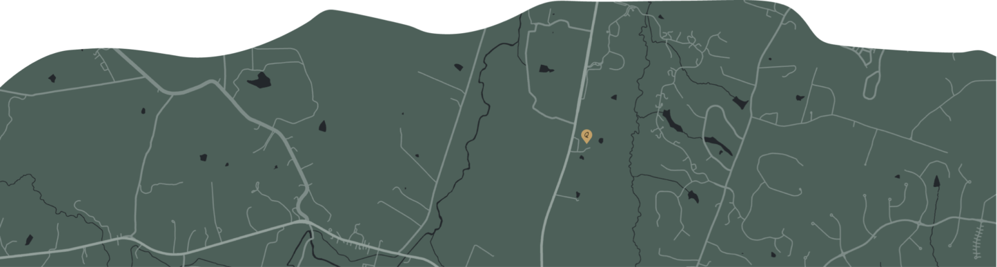 About - Quattro Goombas